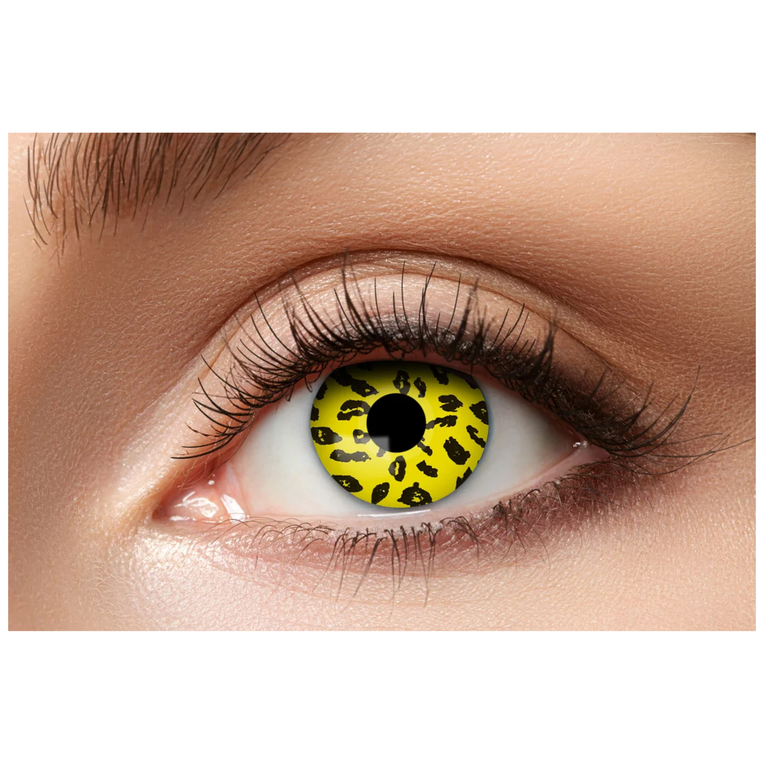 Yellow Leopard - Piilolinssit - Wildcat Suomi